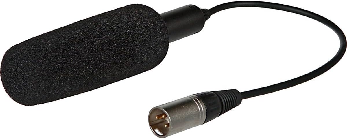 Panasonic AGMC200G Unidirectional Microphone | Review & Rating